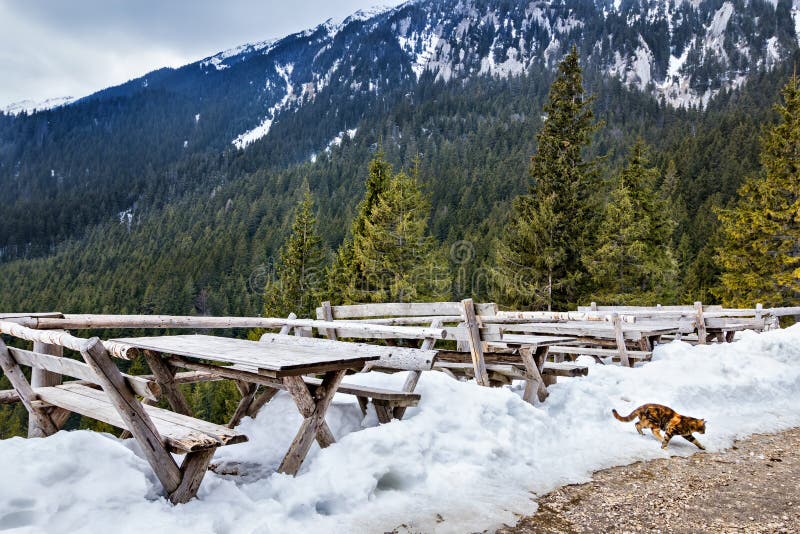 Wooden benches and tables stock photo. Image of cold - 51553612