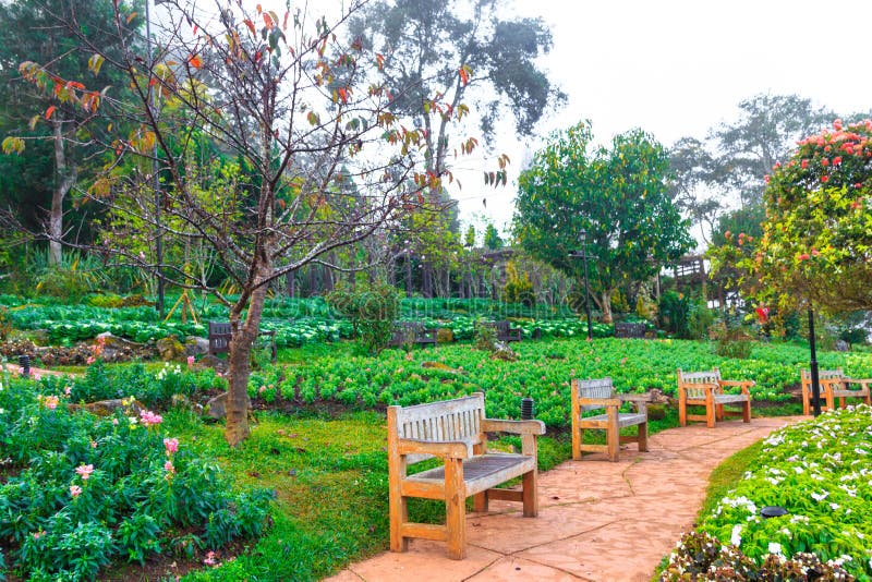 Wooden Benchs in a Beautiful Park Garden Stock Photo - Image of food ...