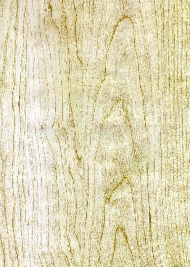 Birch wood texture stock image. Image of timber, plank - 22453505