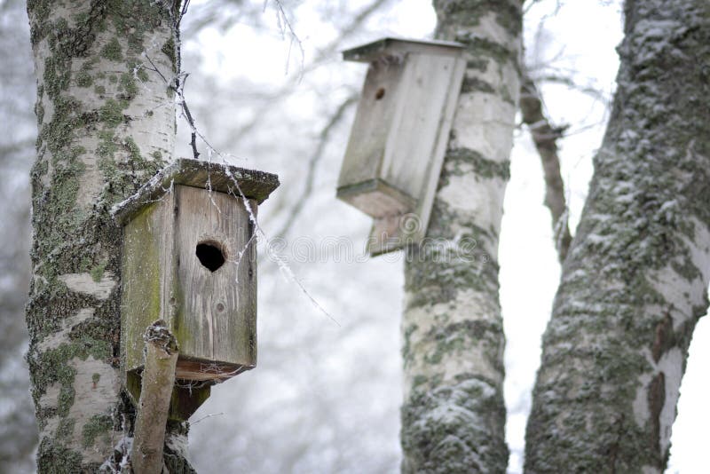 Wooden bird boxes stock photo. Image of nature, wood - 23252344