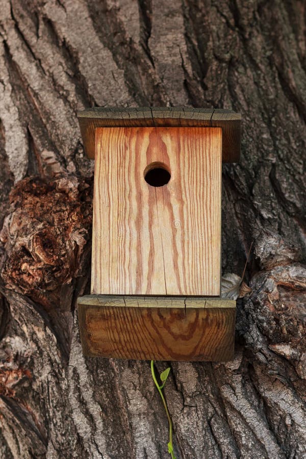 Wooden Bird House on Bark Tree Background. Nesting Box on Tree Stock ...