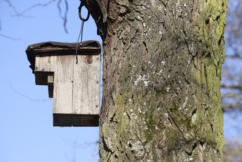 Wooden Bird House on a Tree Trunk, Germany Stock Photo - Image of house ...