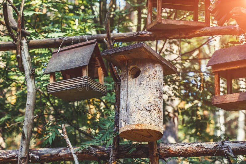 Wooden Bird Houses, Nesting Box on Tree in Forest Stock Image - Image ...