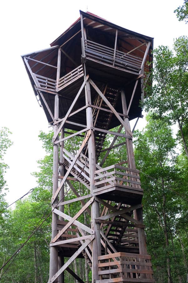 Wooden Bird Watching Tower in Mangrove Forest in Thailand Stock Photo ...