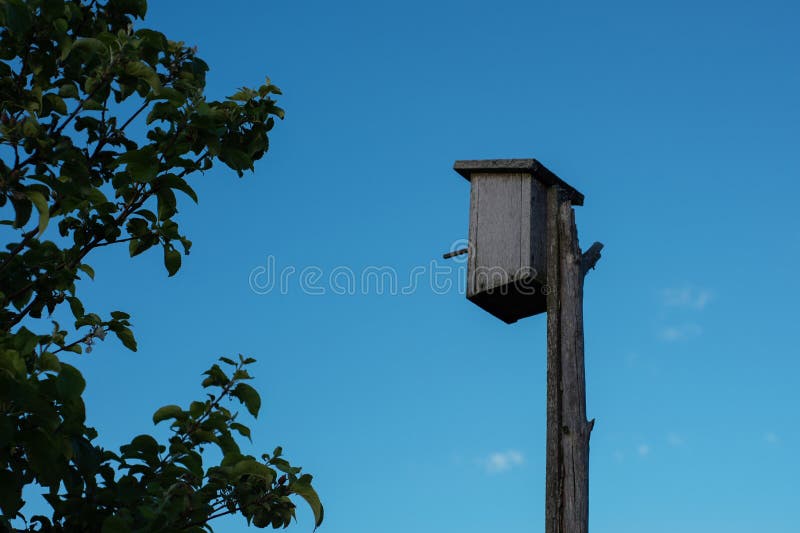 Wooden Birdhouse Mounted on a Post Surrounded by Greenery Against a ...
