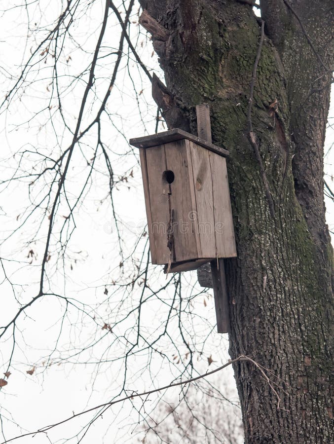 Wooden Birdhouse stock image. Image of craft, outside - 62317377