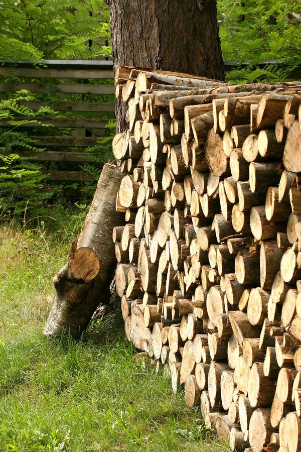 Wooden block stock photo. Image of chopped, forest, tree - 17985572