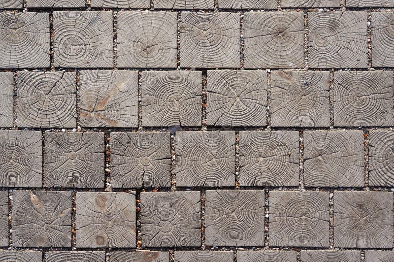 Wooden Blocks Pavement Texture. Stock Photo - Image of ground, closeup ...