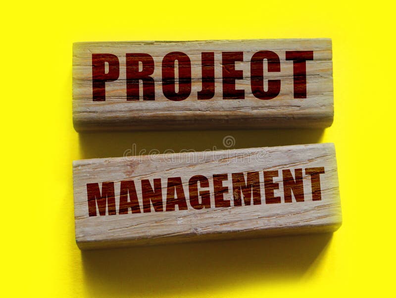 Wooden Blocks with the Text: Project Management. Business Projects ...