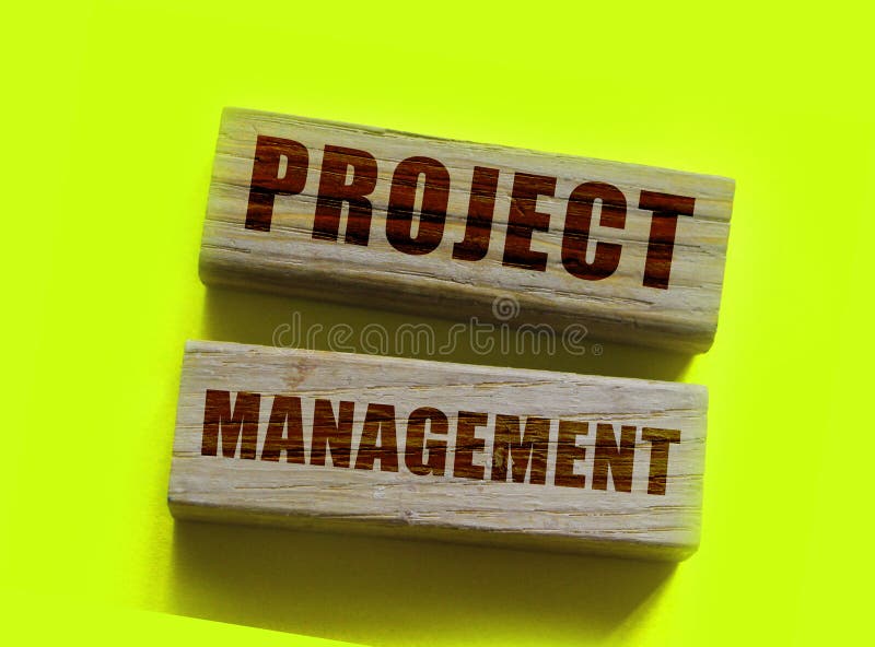 Wooden Blocks with the Text: Project Management. Business Projects ...
