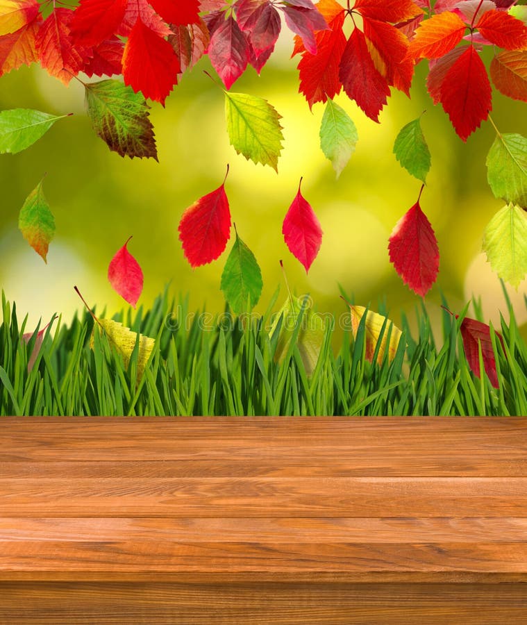 Wooden Board on Autumn Leaves Background Stock Photo - Image of ...