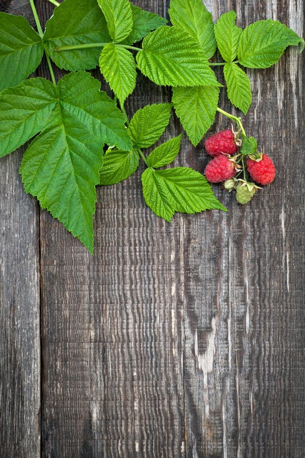 Wooden Board Decorated Raspberry and Leaves Stock Image - Image of ...