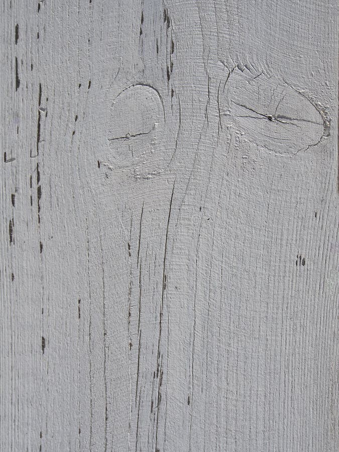 Wooden Board Painted with White Old Paint with Natural Drawing of Pine ...