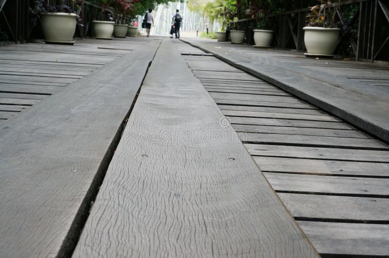 Wooden board walk stock photo. Image of boardwalk, family - 38575582