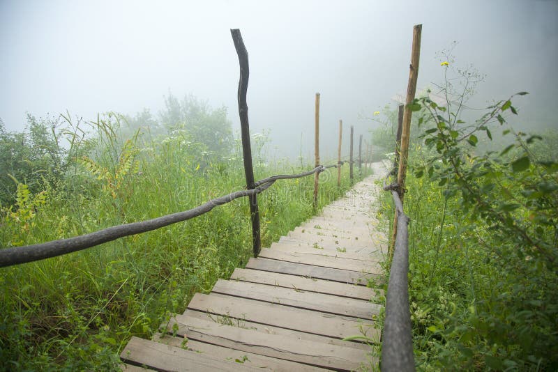 Wooden Board Walk Path Leading To Destination Stock Photo - Image of ...