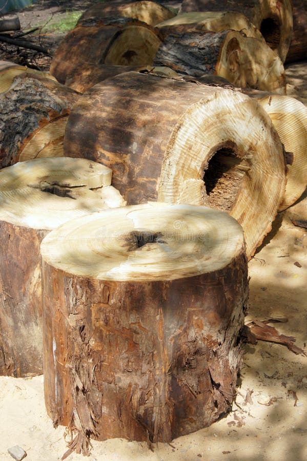 Wooden boards stock image. Image of surface, resource - 20193753