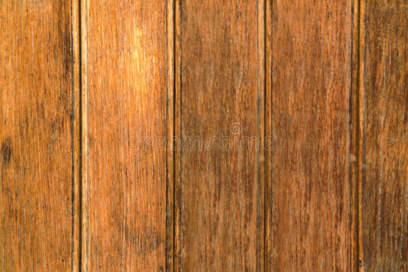 Wooden boards stock image. Image of texture, plant, root - 87453587