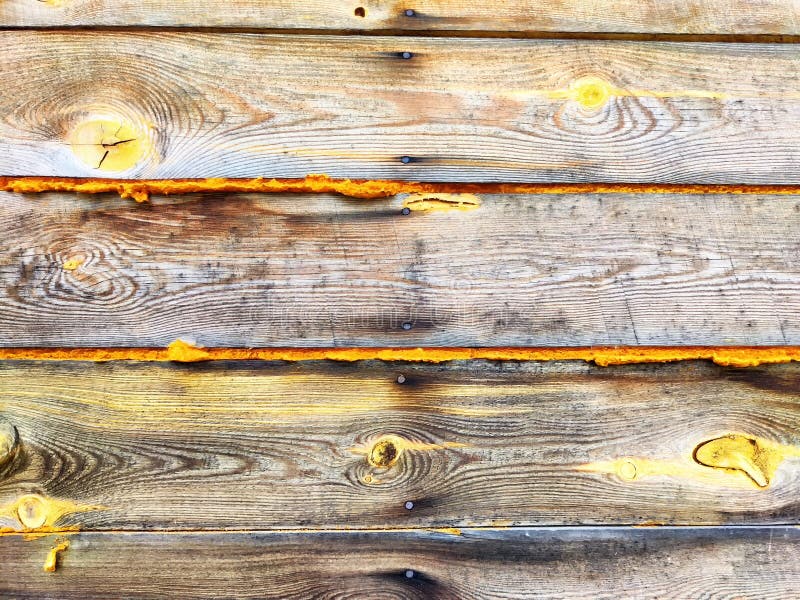 The Wooden Boards Showcase a Rustic Texture with Warm Hues and Patterns ...