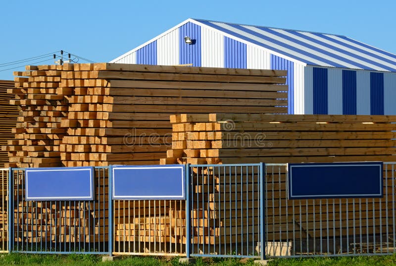 Timber yard and forest stock photo. Image of tree, trunk - 14102302