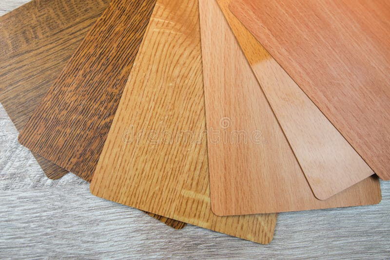 Wooden Boards, Thin Samples, Color Selection Catalog Stock Photo ...