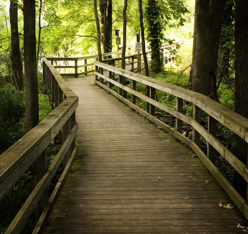 Lakeside nature walk way stock image. Image of boardwalk - 34127577