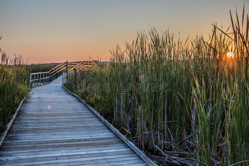 Sun Setting Beyond the Boardwalk at Wye Marsh, Ontario, Canada Stock ...