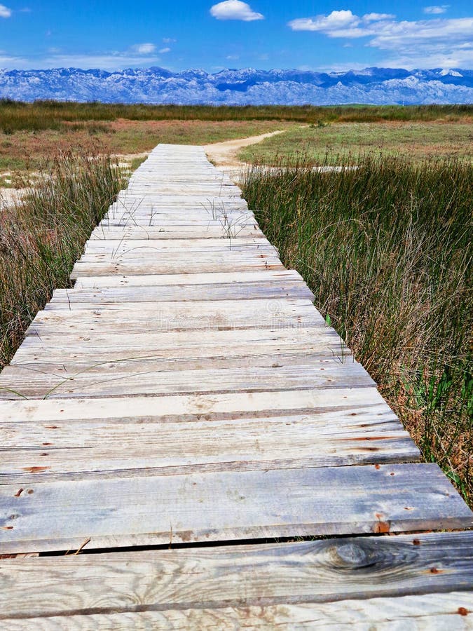 Wooden Boardwalk through a Marshland Under a Clear Blue Sky Stock Image ...