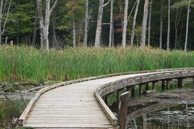 Wooden Boardwalk over Pond stock photo. Image of empty - 34037632