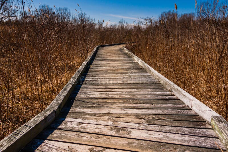 Boardwalk Walking Path, Kohler-Andrae State Park Stock Photo - Image of ...