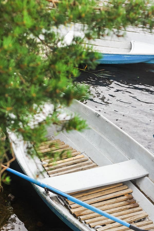 Wooden Boat on the Lake in the Shade of Pines Stock Photo - Image of ...