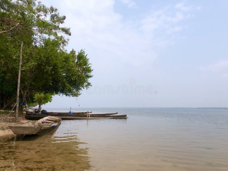 Wooden boat under tree stock image. Image of boat, float - 164609513