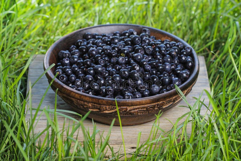 Fresh Guava Fruit with Leaves Stock Photo - Image of guajava, ripe ...