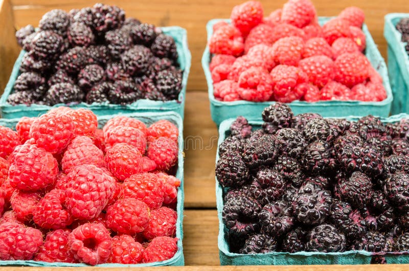 Wooden Box with Baskets of Berries Stock Image - Image of black ...