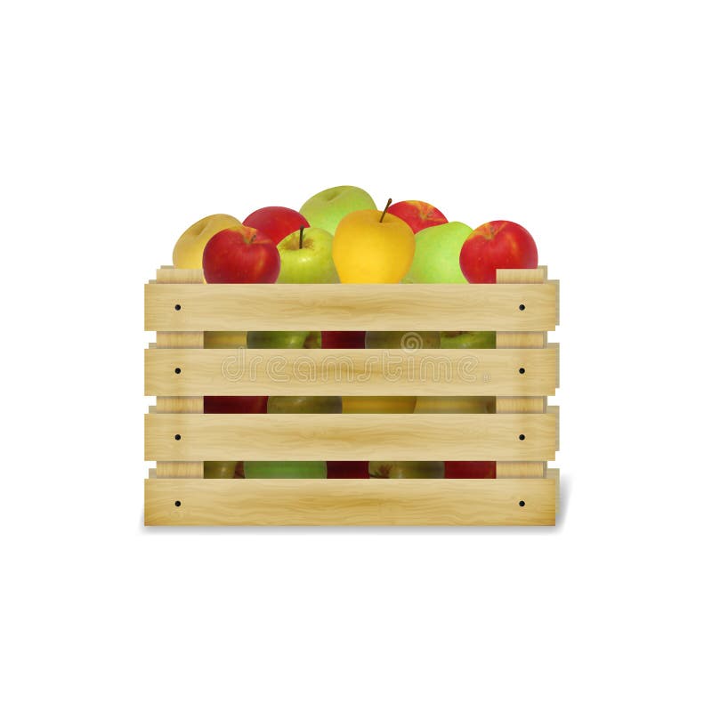 Wooden box of apples stock vector. Illustration of container - 15306770