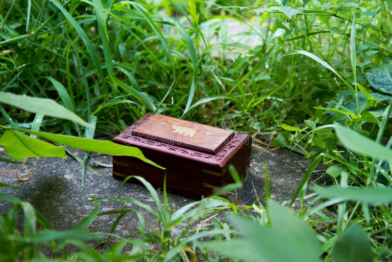 Wooden box in the forest stock photo. Image of secure - 69398390