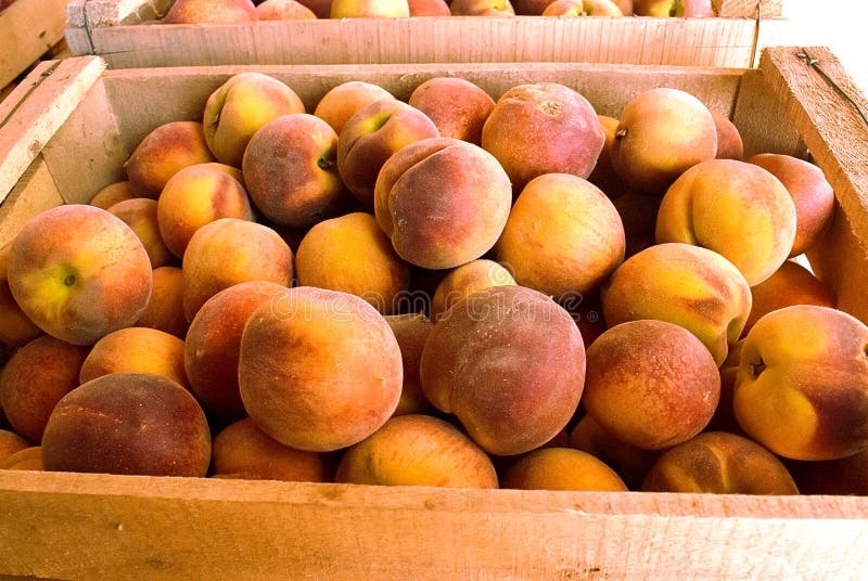 Wooden Box with Freshly Picked Organic Peaches in the Field Stock Photo ...