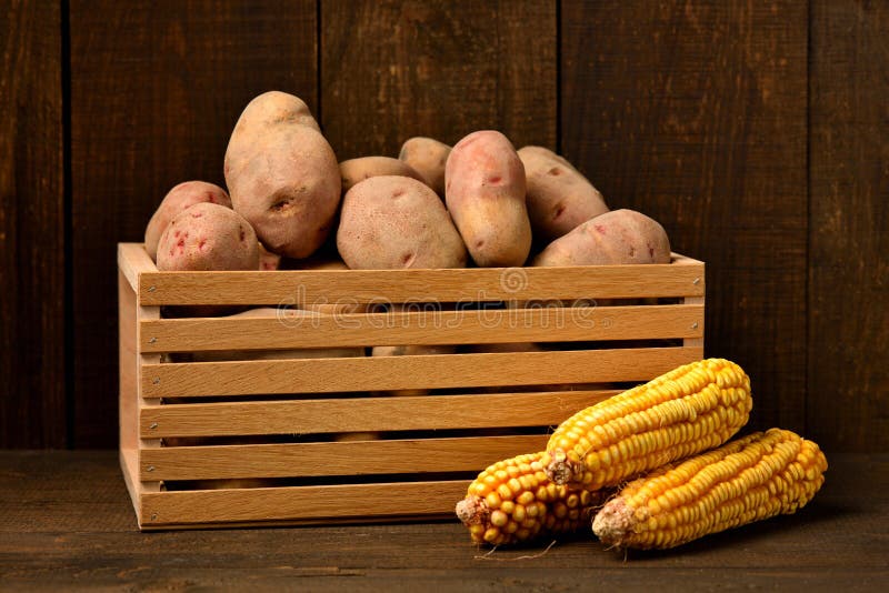 Wooden Box Full of Potatoes and Corn Cobs on Dark Wooden Background ...