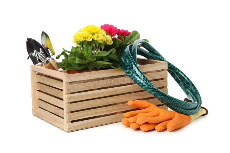 Wooden Box, Gardening Tools and Flowers Isolated on Background Stock ...