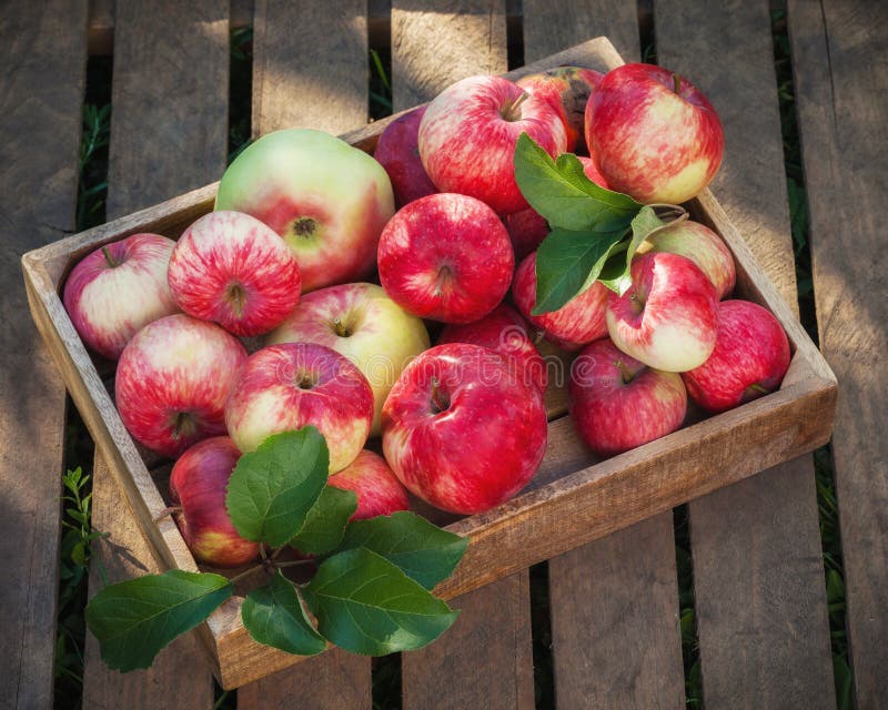 Wooden Box of Red Apples in Shop, Supermarket, Fruit Department. Fresh ...
