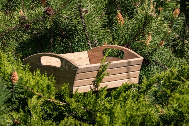 Wooden Box for Storing and Carrying Things Stock Image - Image of ...