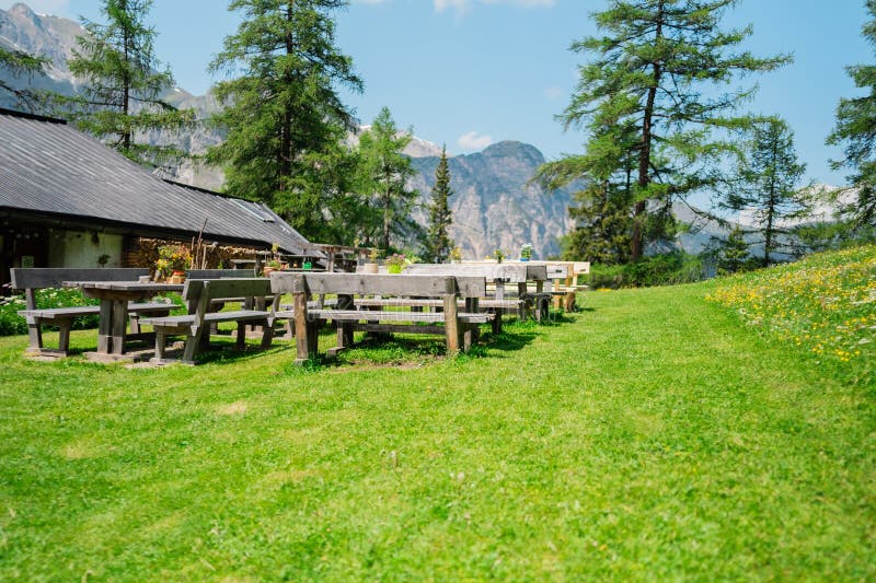Wooden Break TimeBench and Table on a Green Lawn in a Mountain ...