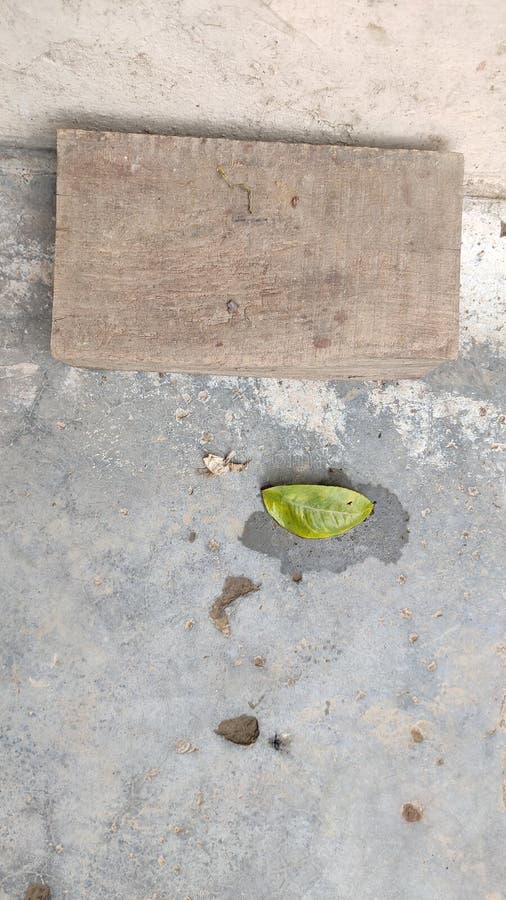A Wooden Bricks a Single Leaf Bonding Stock Photo - Image of water ...