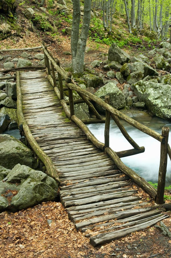 Wooden bridge stock photo. Image of tranquil, exploration - 14295956