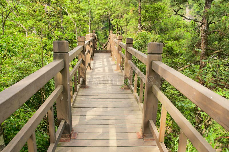 Wooden bridge stock photo. Image of nature, branch, explore - 19934194