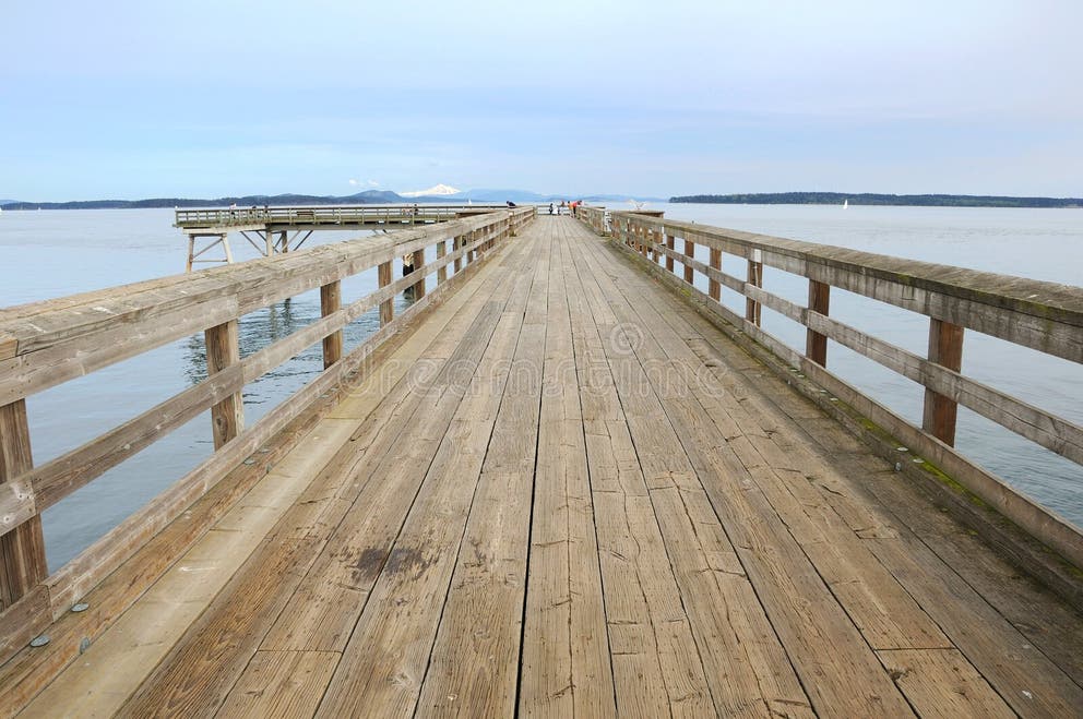 A wooden bridge stock photo. Image of waterfront, wooden - 20846170