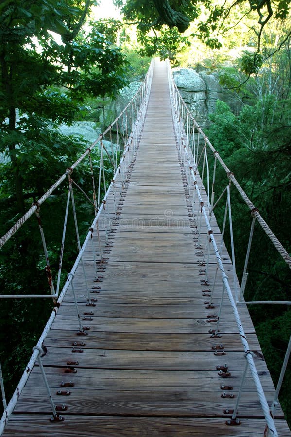Adventure Wooden Rope Jungle Suspension Bridge Stock Image - Image of ...