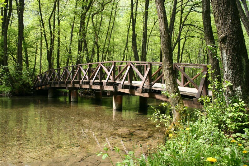Wooden Log Bridge Over River Stock Photo - Image of streams, trees ...