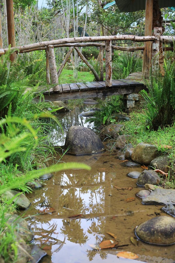 Wooden Bridge Across the Brook Stock Photo - Image of bush, bridge ...