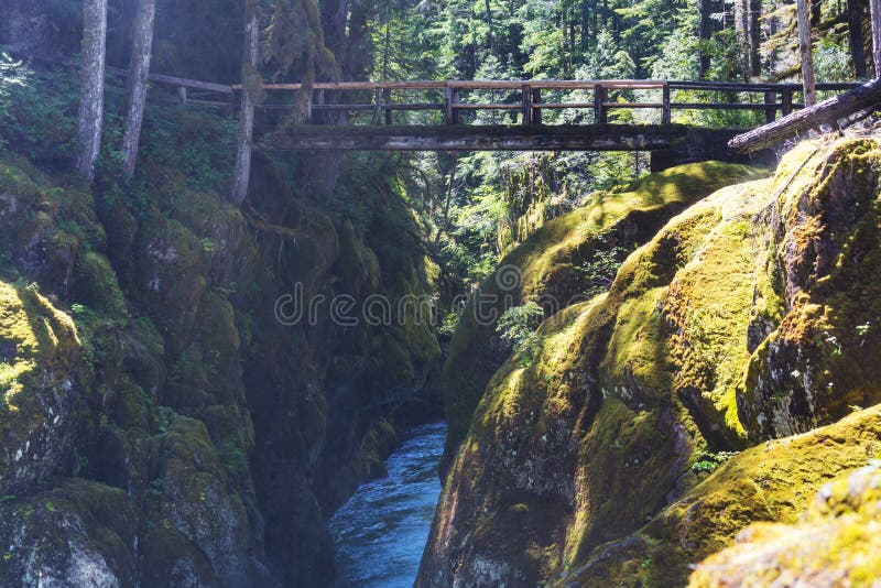 Bridge in hike stock photo. Image of backpacker, hike - 263033624