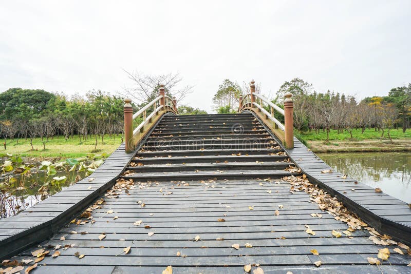 Wooden Bridge Across River in Park Stock Image - Image of liquid ...